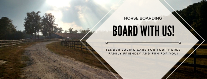 Cockade Stables – Hope, Heal, and Ride…