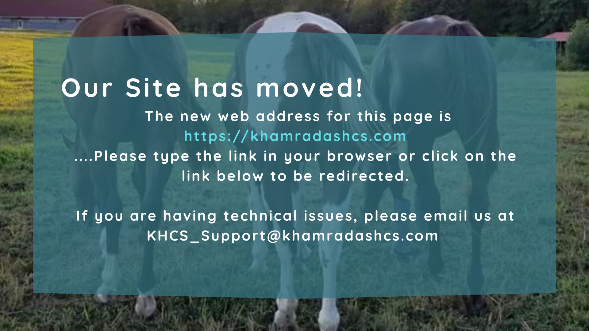 Cockade Stables – Hope, Heal, and Ride…